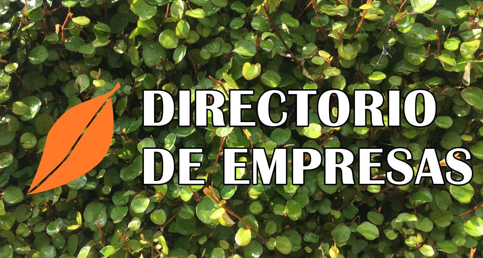 LAS EMPRESAS DE AMJA AHORA MÁS VISIBLES