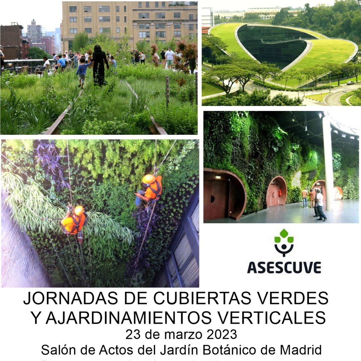 JORNADA SOBRE CUBIERTAS VERDES Y ARDINAMIENTOS VERTICALES