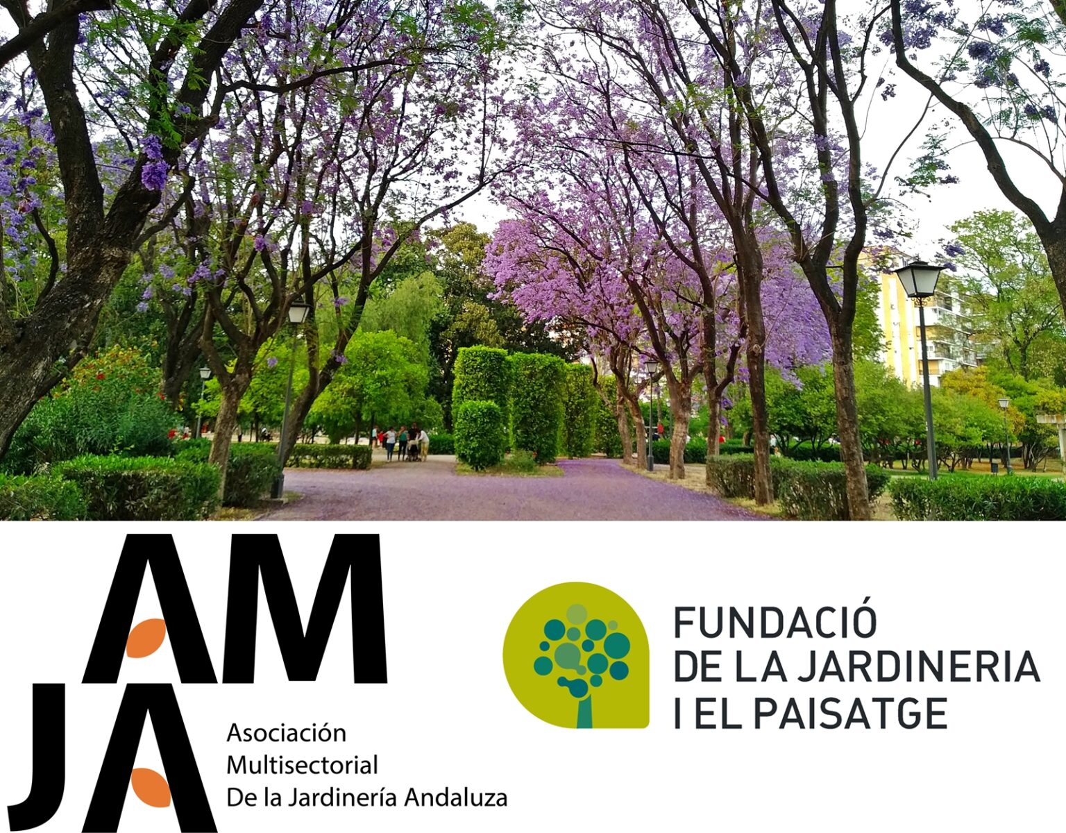 AMJA OFRECE A SUS SOCIOS ACCESO GRATUITO A LAS NTJ