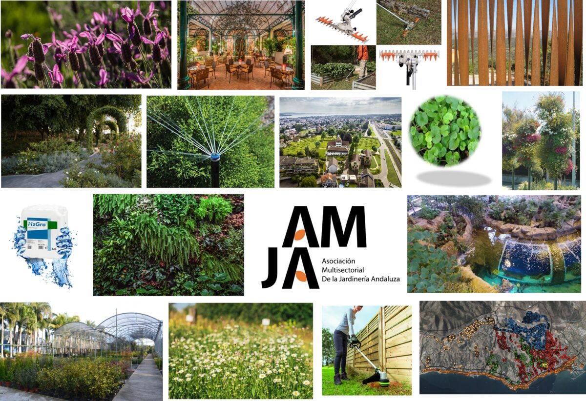 ¿POR QUÉ SER SOCIO DE AMJA?