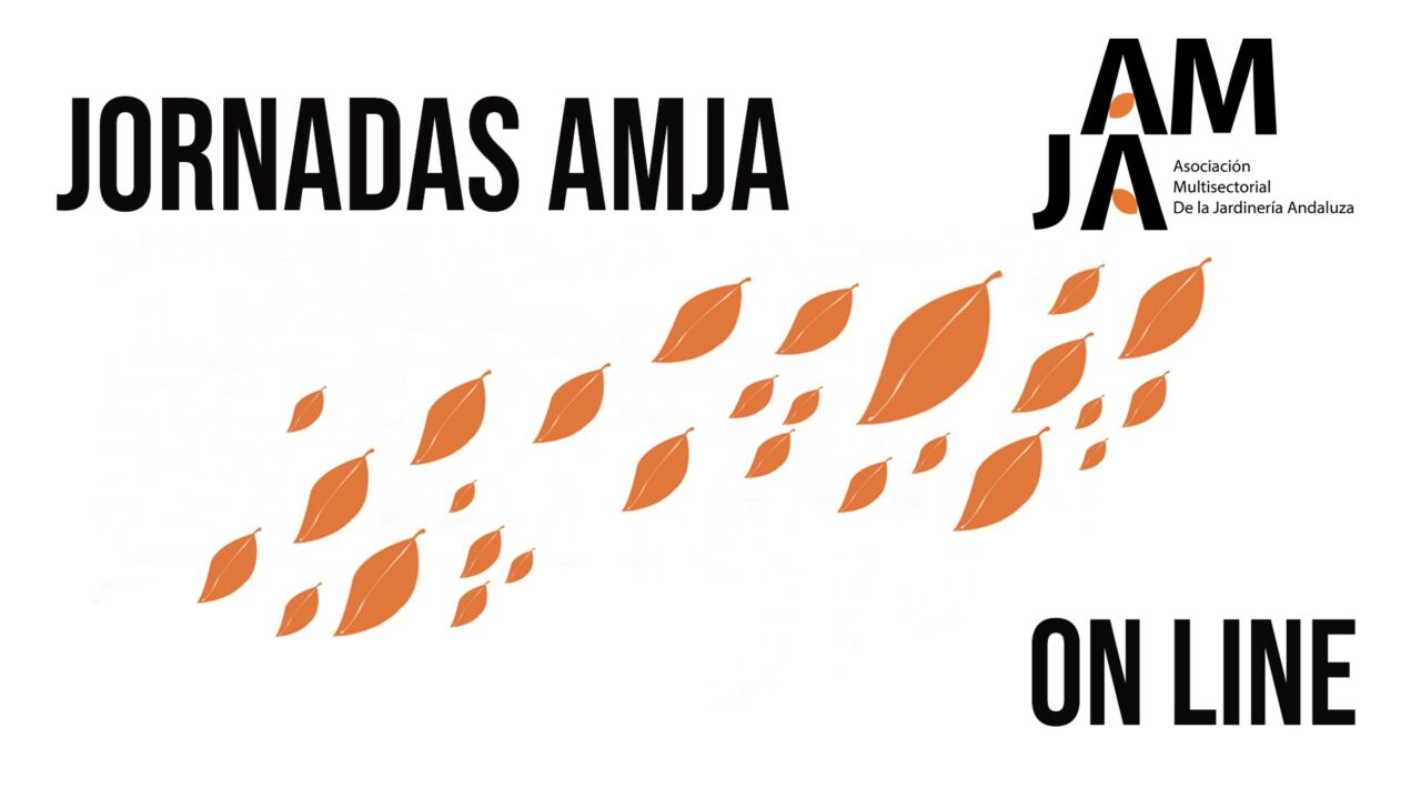 JORNADAS AMJA ONLINE